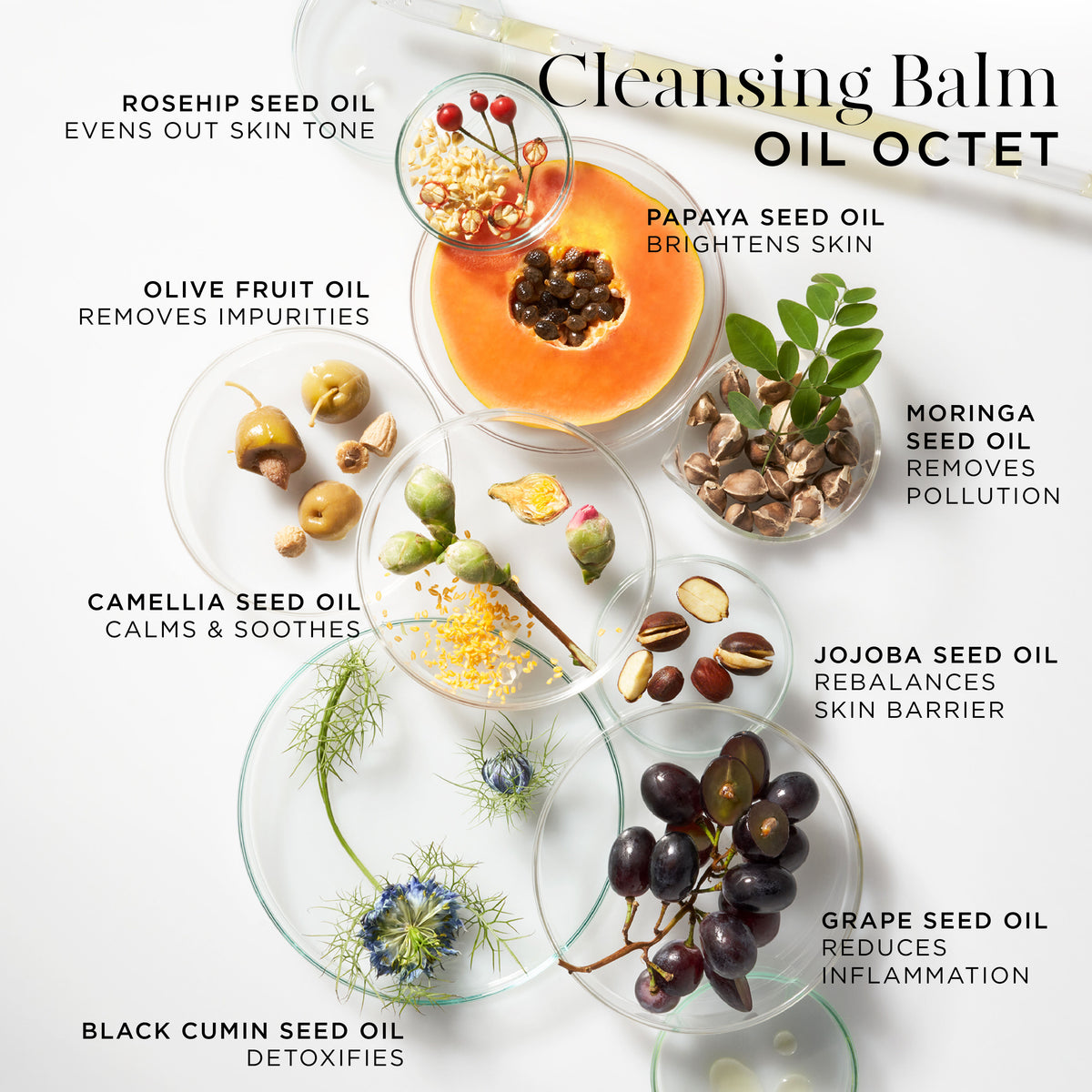 Noble Panacea The Elemental Cleansing Balm and Exfoliating Refiner ...