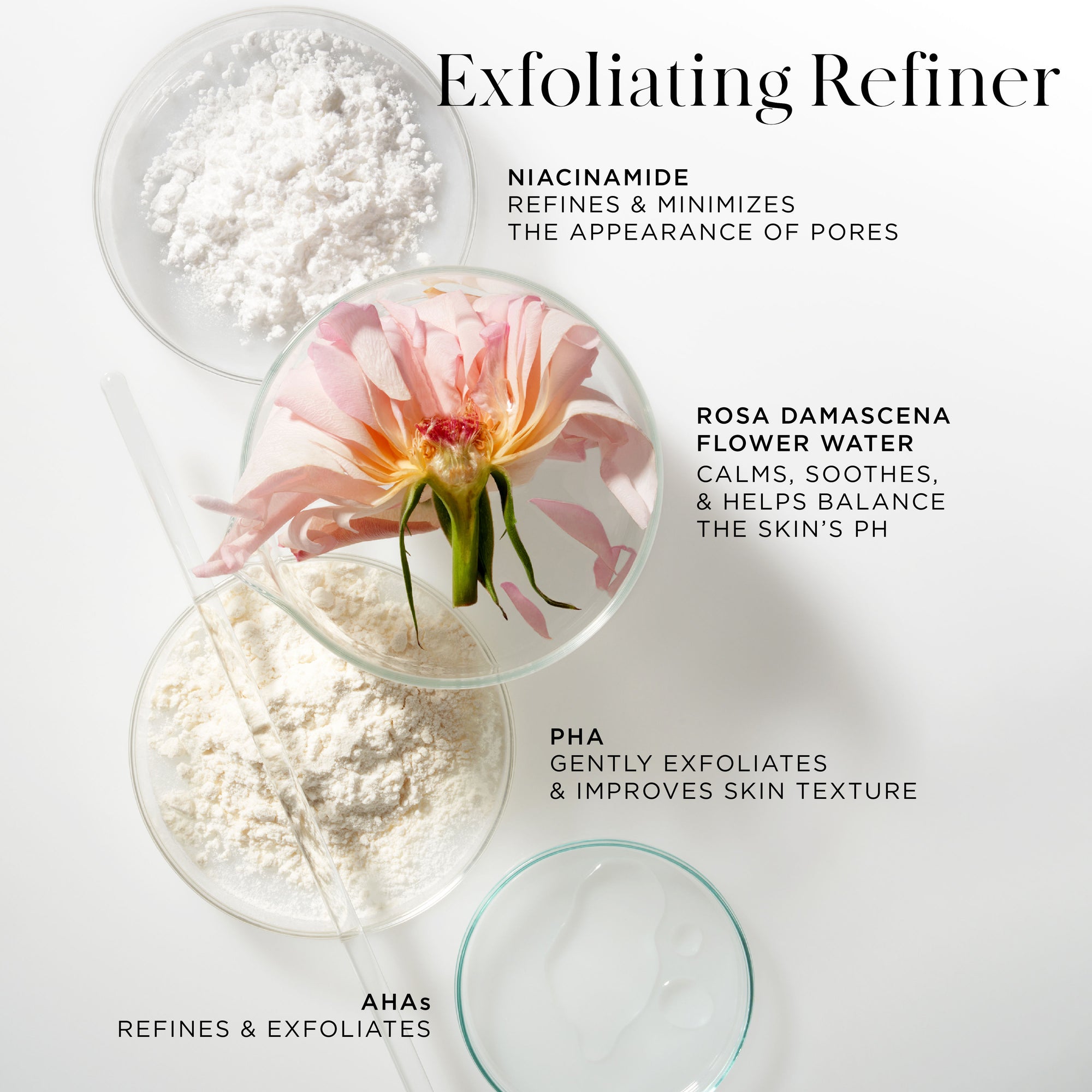 Noble Panacea The Elemental Cleansing Balm and Exfoliating Refiner ...
